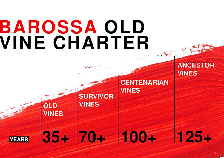 Barossa | Wine Region Guide